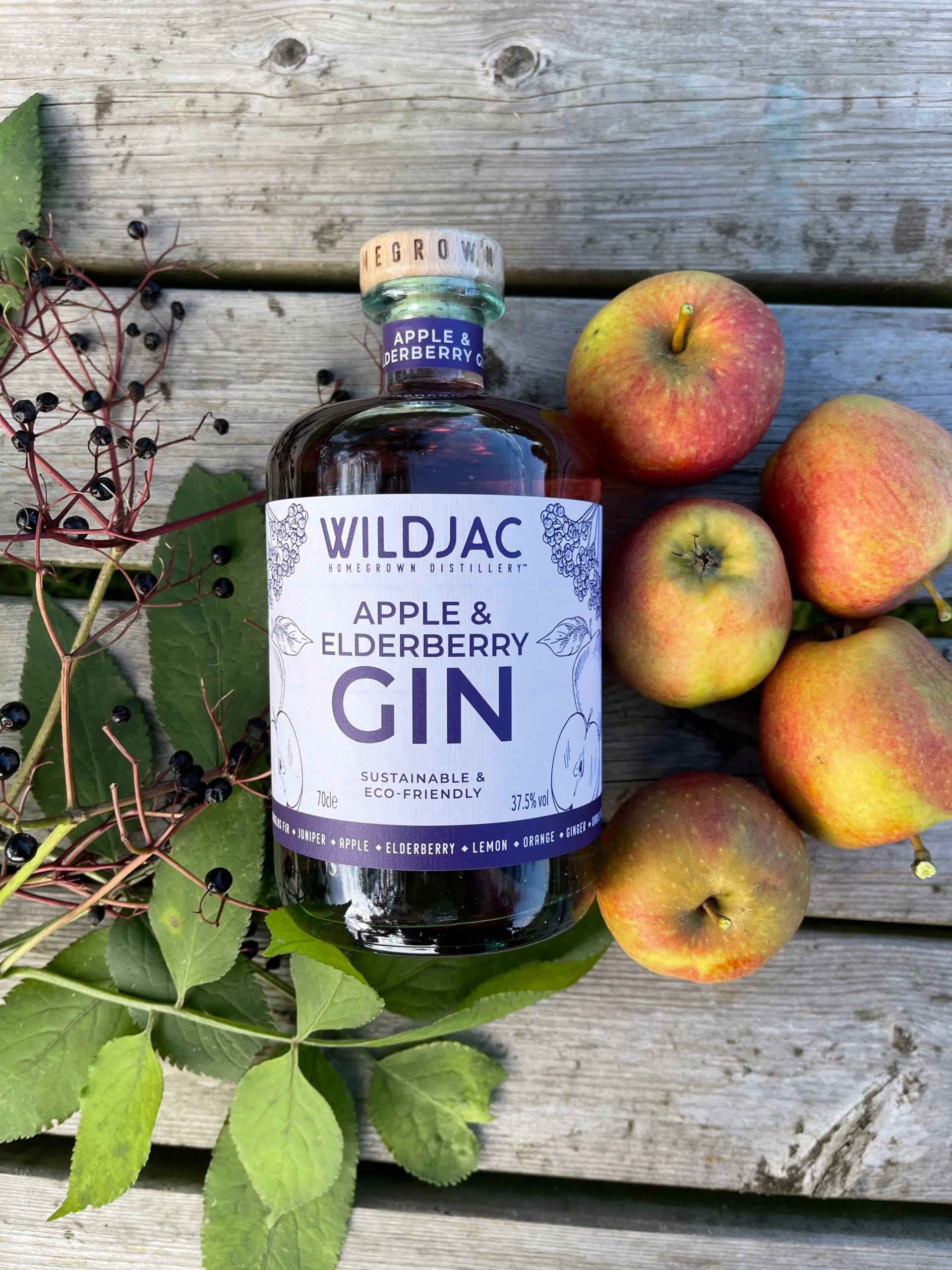 Apple and Elderberry Gin - WildJac