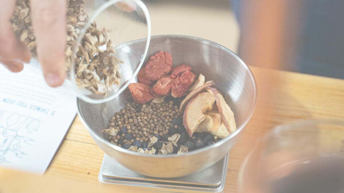 Experiences - Wildjac